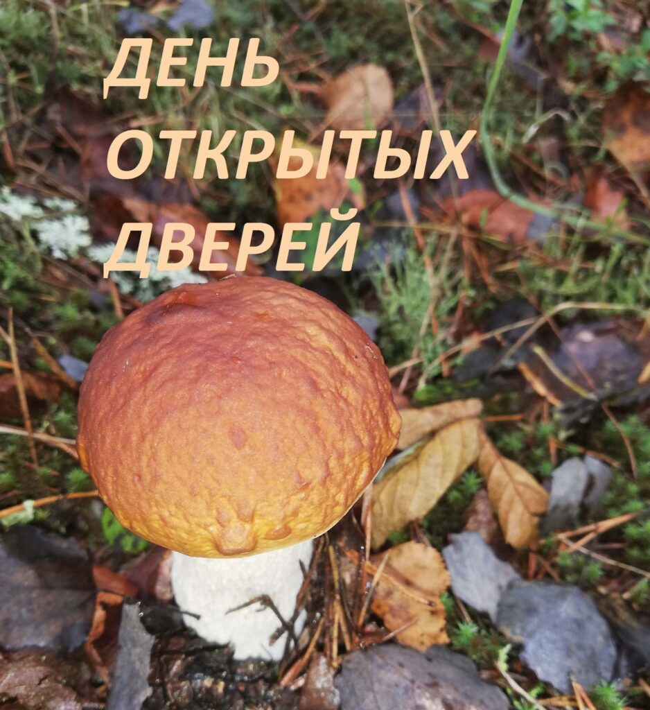 Полесский лесхоз — Заповедный край